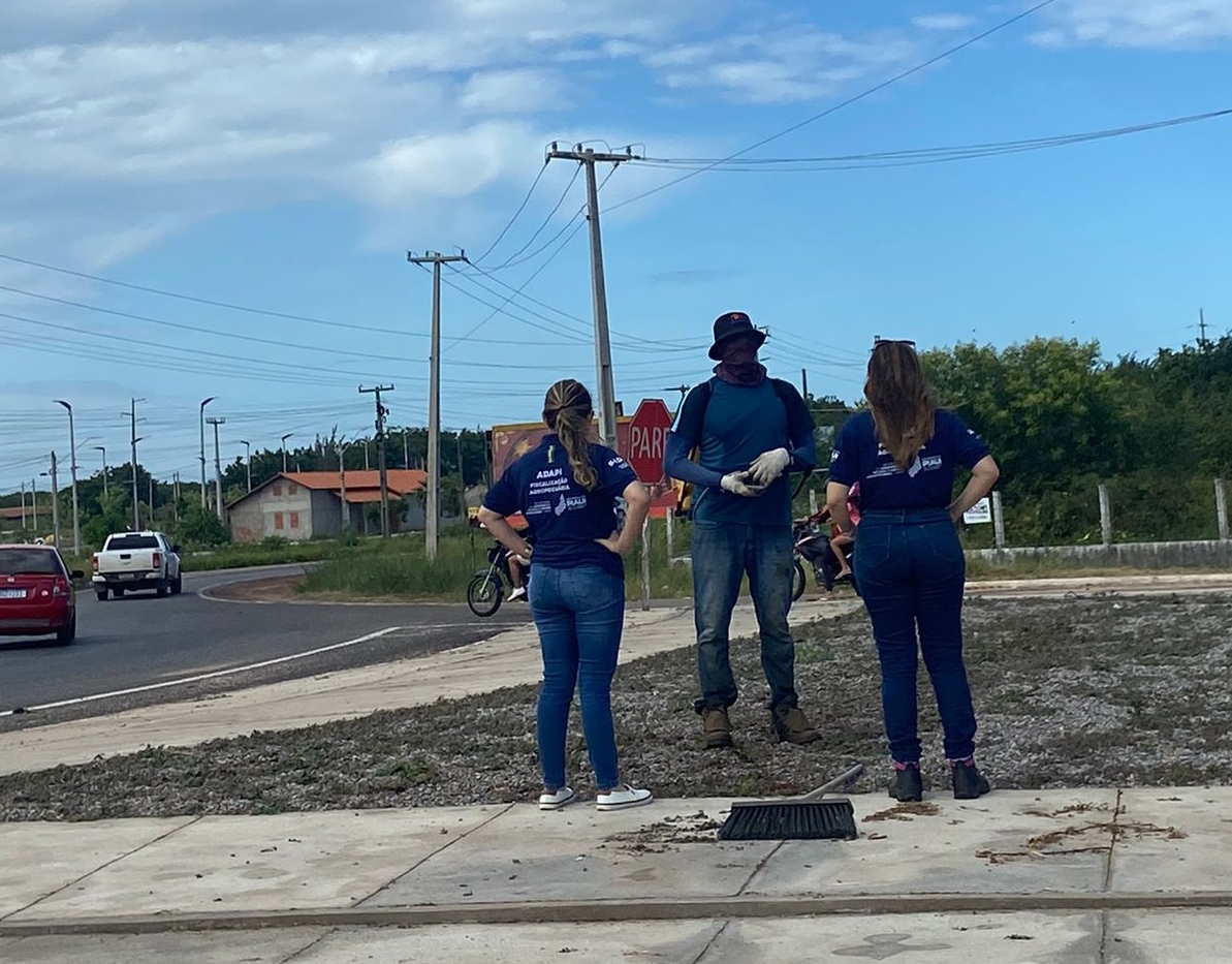Adapi intensifica fiscalização e reforça proibição de capina química em ...