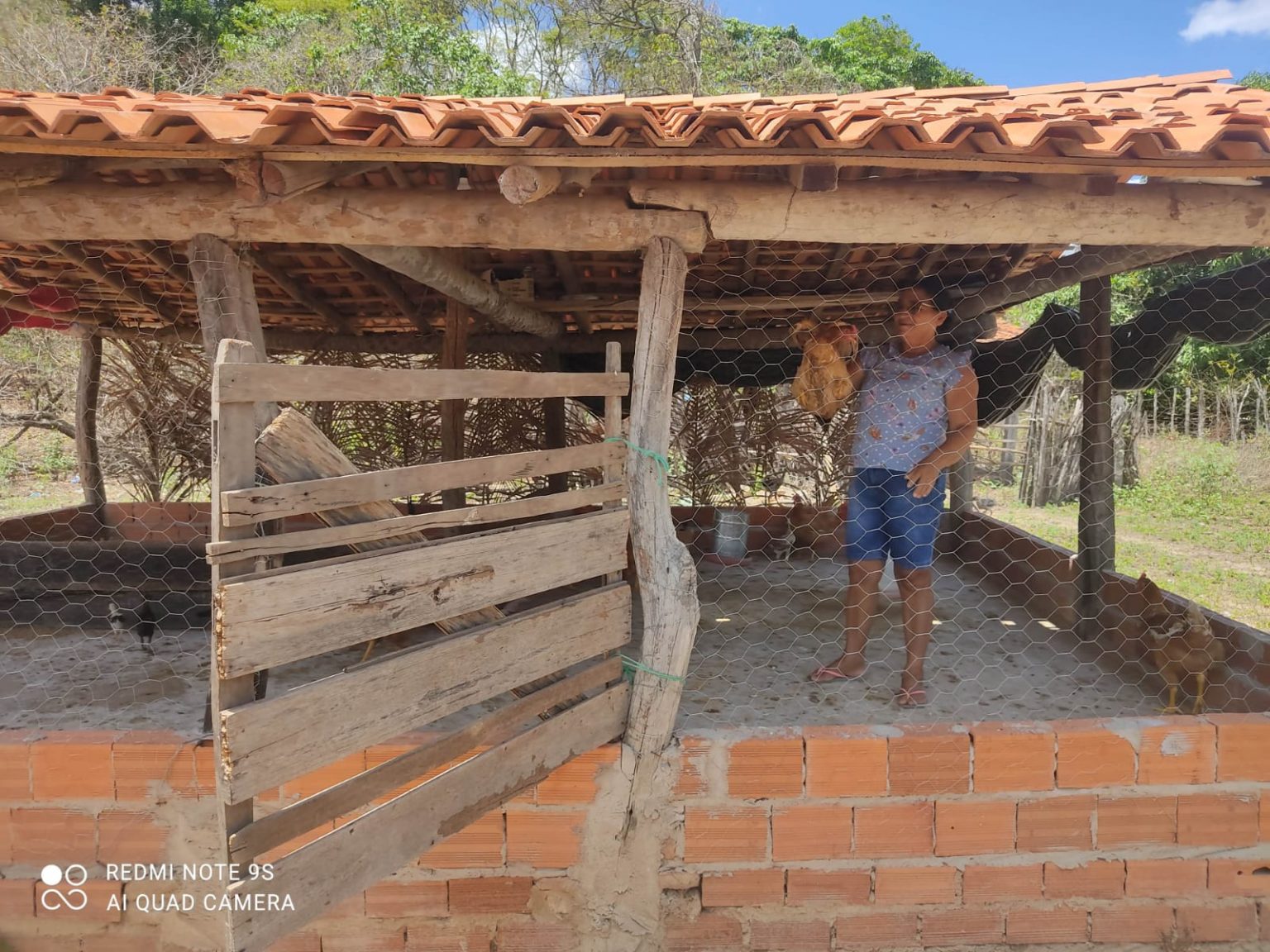 SAF entrega projeto de quintal produtivo na zona rural de Miguel Alves