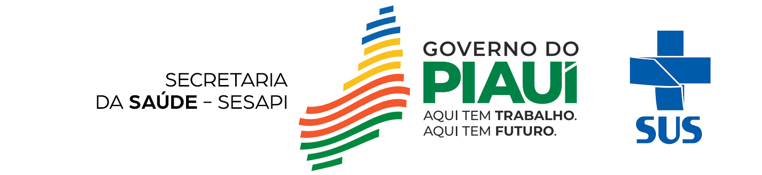 Equipe Gestora – SESAPI